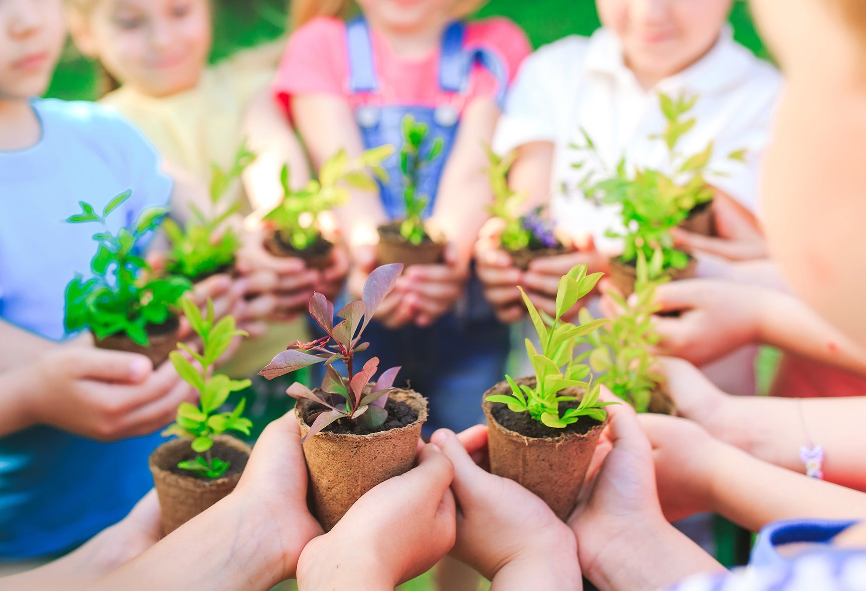 "Raising Eco-Conscious Kids: Embracing Sustainability with Private ...